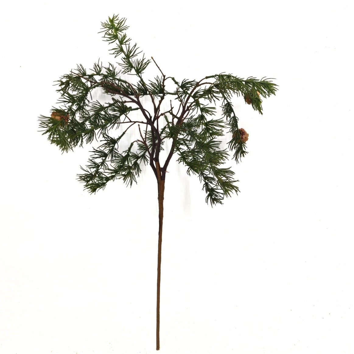 Weeping Ming Spray with Cones – simplycottage