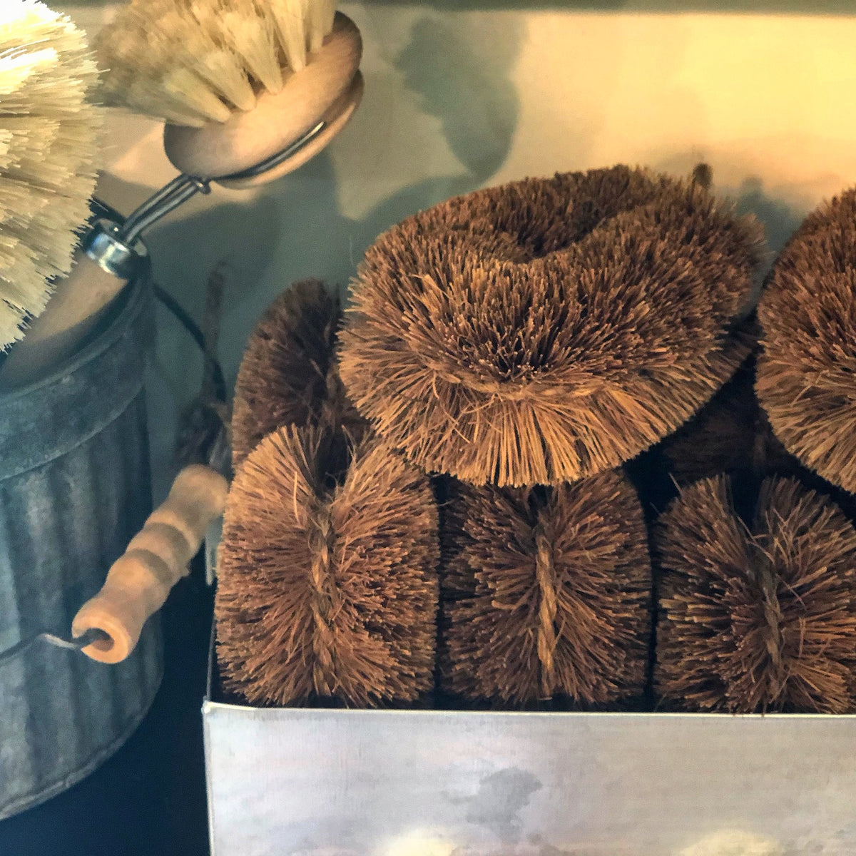 Vegetable Scrub Brush – simplycottage